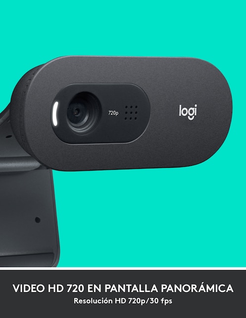 Webcam Logitech 960-001367 2